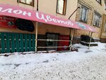 Рай (ulitsa Surikova No:6), çiçekçiler  Krasnoyarsk'tan