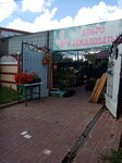Саженцы (ulitsa Griboyedova No:1), sera ve bahçe ürünleri  Orel'den