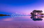 Ibiza Rural Villas (Islas Baleares, Sant Josep de Sa Talaia, San José, Calle Can Pou), gayrimenkul yönetimi  Sant Josep de sa Talaia'dan