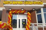 Овощи Фрукты (Zelyonye Allei Boulevard No:7), manavlar  Vidnoye'den