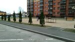 Спортивная площадка (Tver Region, Kalininskiy munitsipalny okrug, derevnya Batino), spor alanı  Tverskaya oblastından