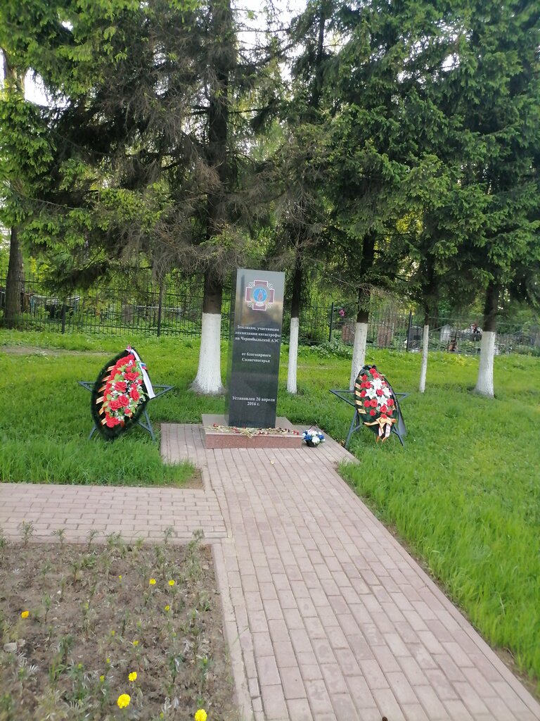 Anıt, heykel Памятный знак ликвидаторам аварии на Чернобыльской АЭС, Solneçnogorsk, foto