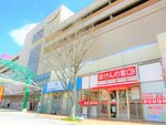 ほけんの窓口 イオン三田ウッディタウン店 (Hyogo Prefecture, Sanda), sigorta şirketleri