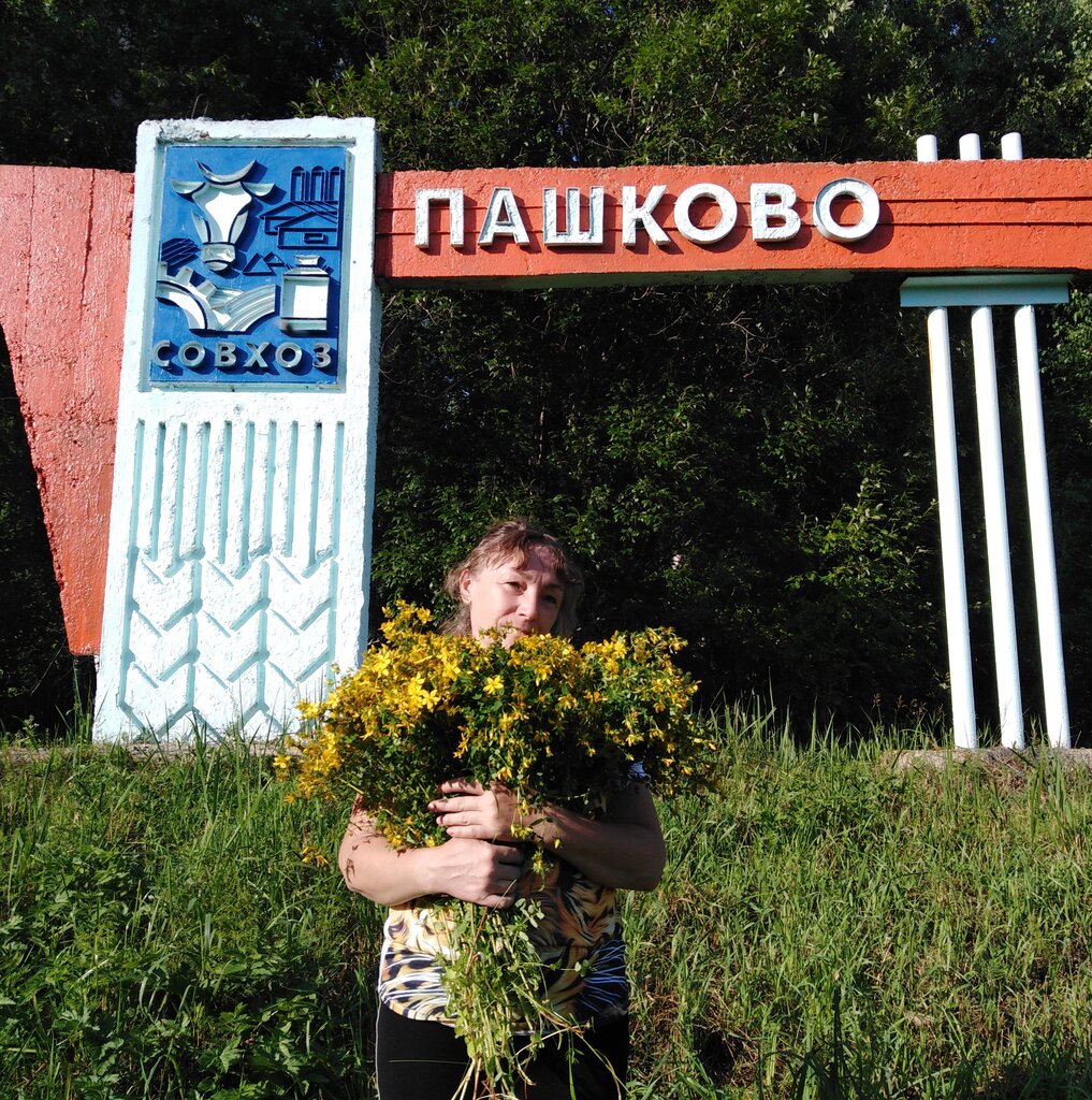 Giriş işareti Совхоз Пашково, , foto