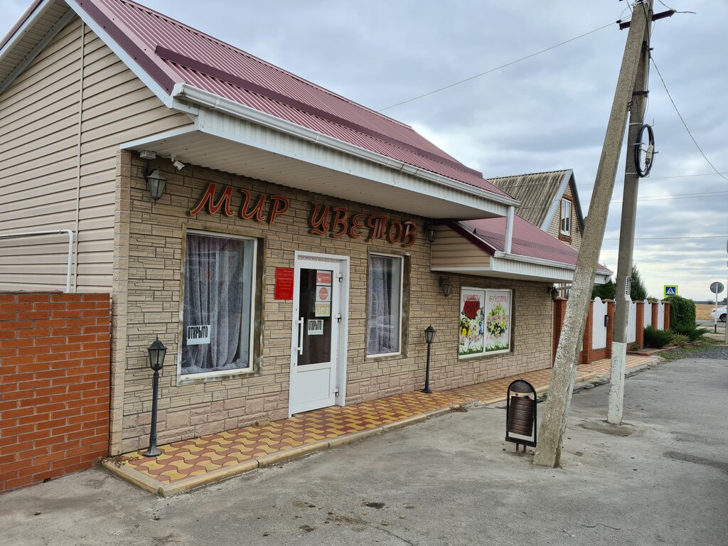 Çiçekçiler Мир цветов, Krasnodarski krayı, foto