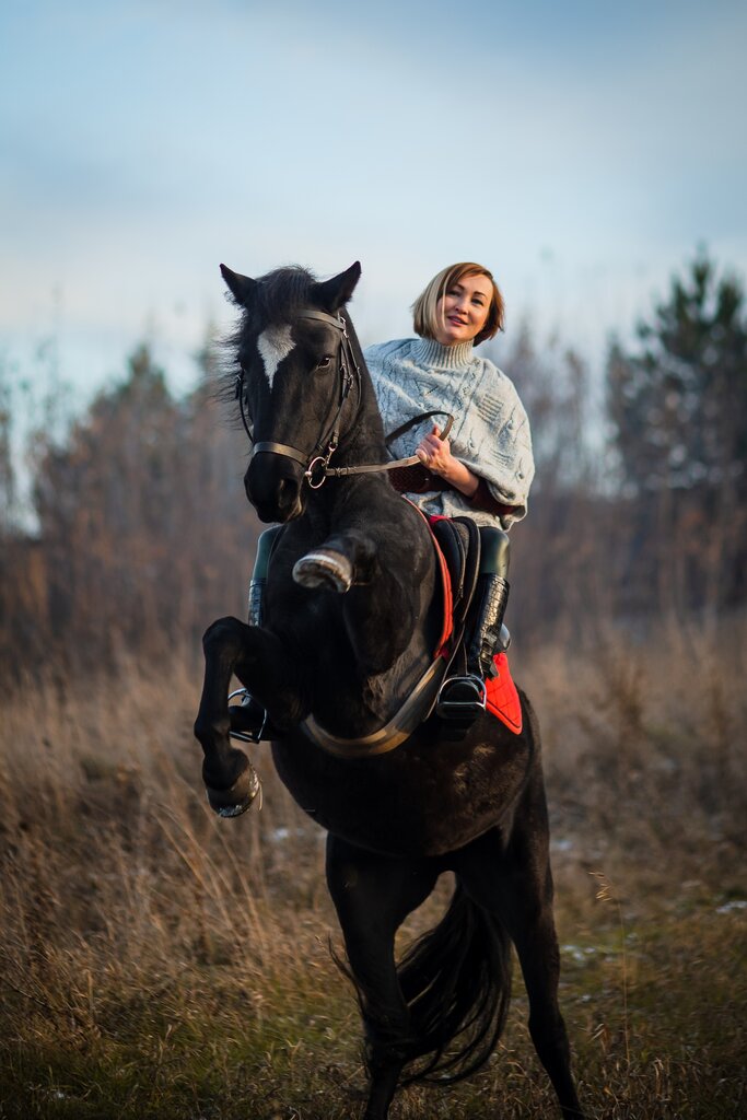 At ve binicilik kulüpleri Pegas konny dvor, , foto