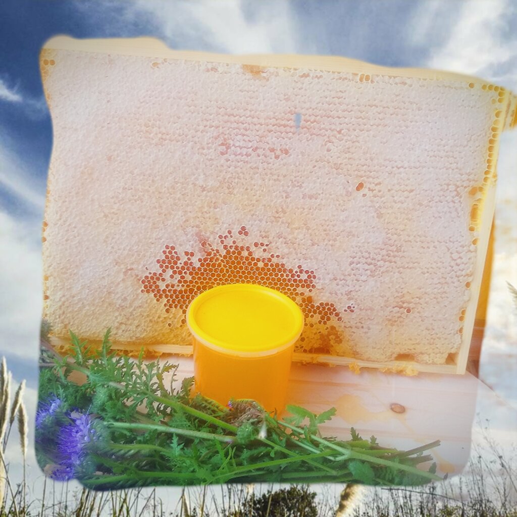 Bal ve arıcılık firmaları Пасека Сысоева, Krasnoyarski krayı, foto