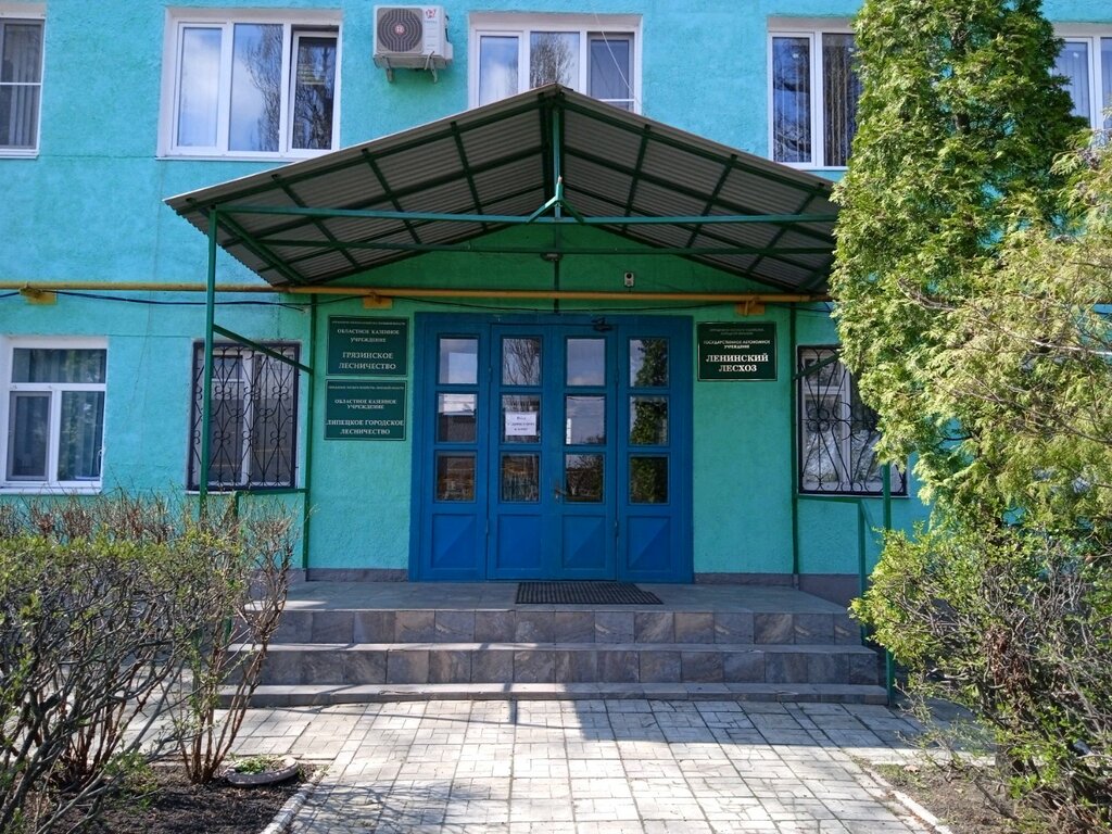 Orman işleri Грязинское лесничество, Lipetsk, foto