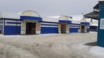Яйцо (Klubnaya ulitsa No:15), kasap, şarküteri  Tambov'dan
