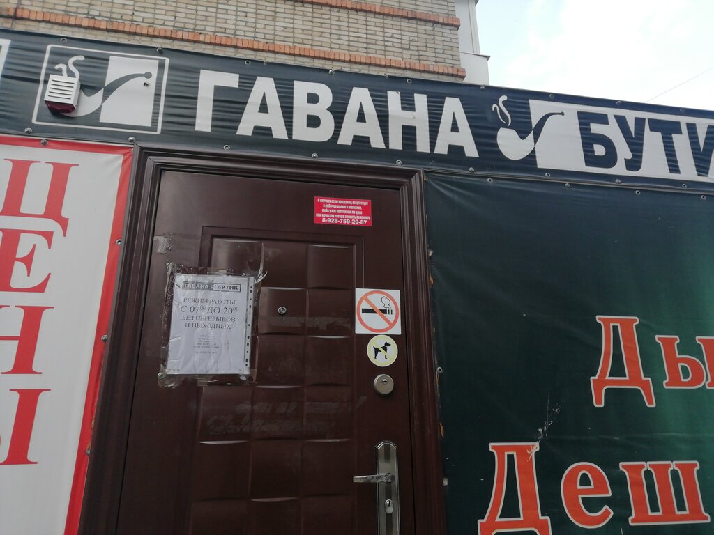 Tütün, sigara mağazaları Гавана, Volgodonsk, foto