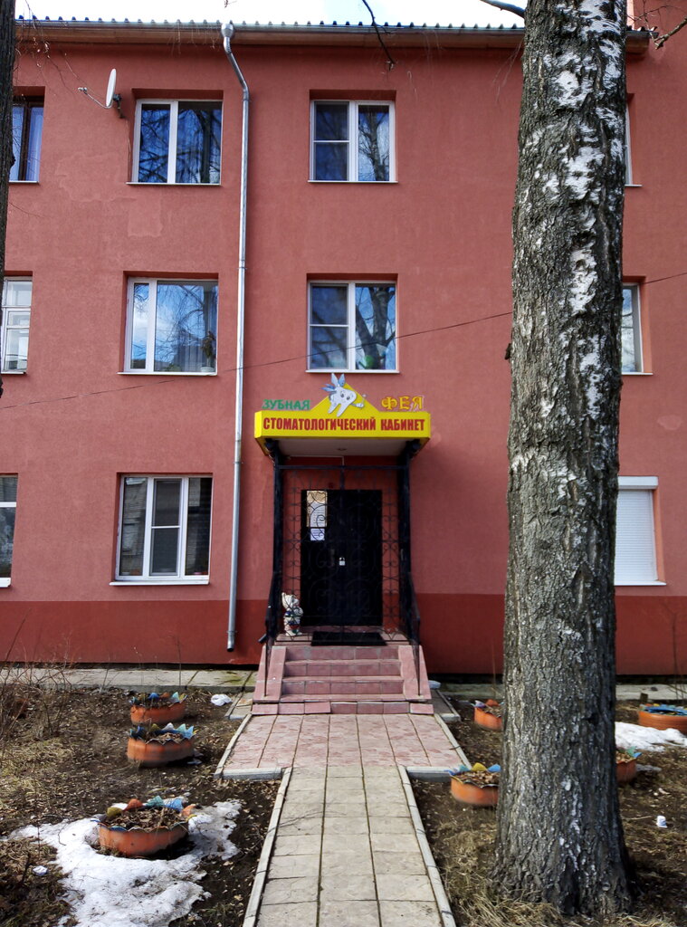 Özel ağız ve diş sağlığı klinikleri ve muayenehaneleri Зубная фея, Kineşma, foto