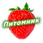Chishminskiy plodopitomnik (Lesnaya ulitsa No:10, rabochiy posyolok Chishmy), fidan yetiştiriciliği  Başkurdistan'dan