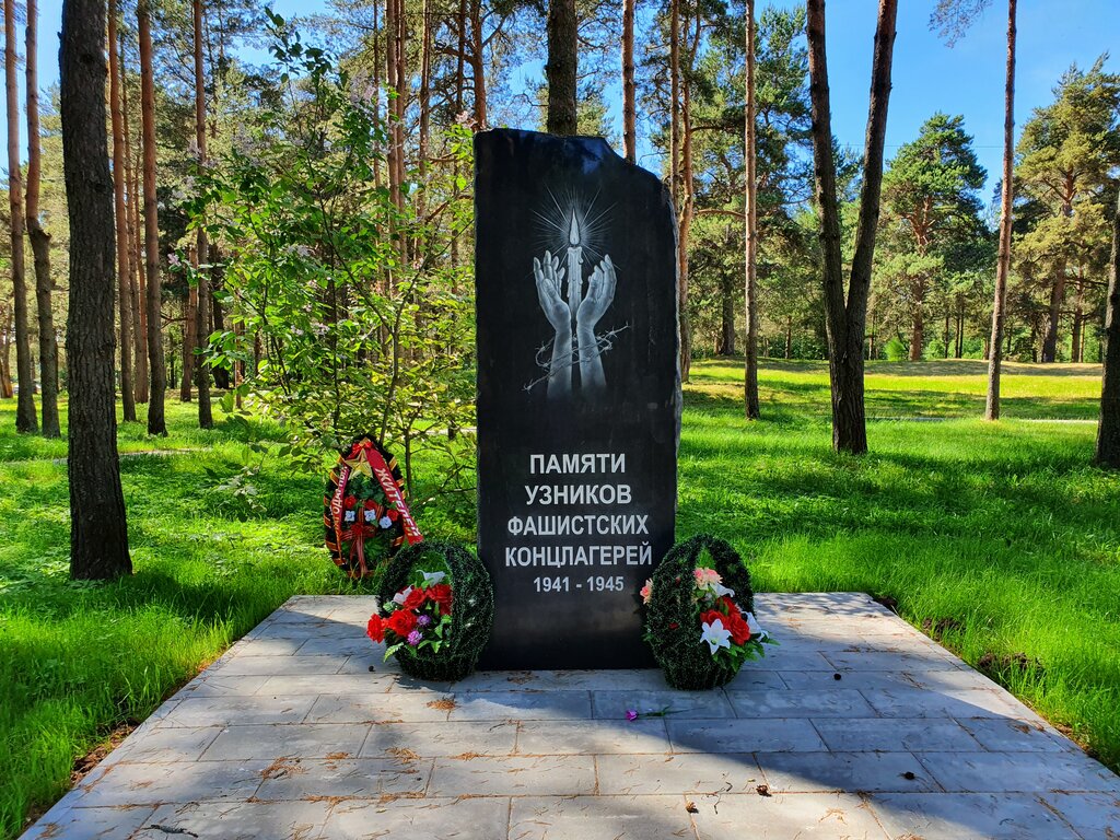 Anıt, heykel Памятный знак бывшим узникам фашистских концлагерей, Kingisepp, foto
