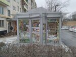 Пресса (Tsentralnaya Street No:26), gazete bayi  Troitsk'ten