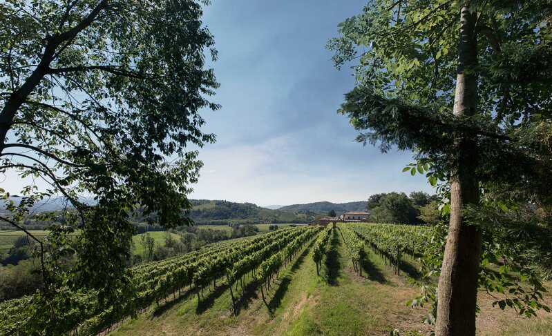 Tarım ürünleri firmaları Canus, Friuli‑Venezia Giulia, foto