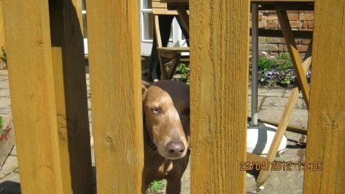 Otel Turfcutters Arms, İngiltere, foto