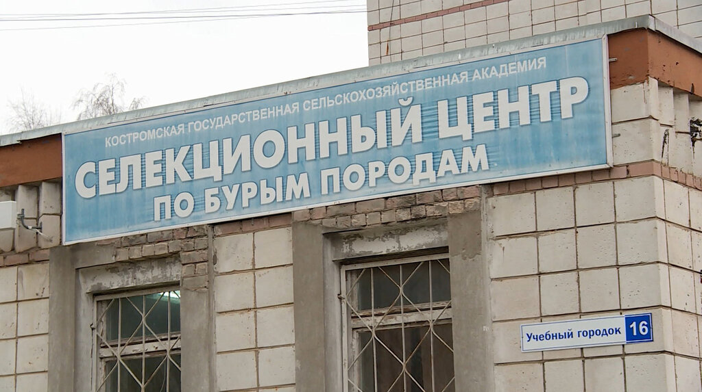 Bilim araştırma enstitüsü Костромской ГСХА, селекционный центр, Kostromskaya oblastı, foto