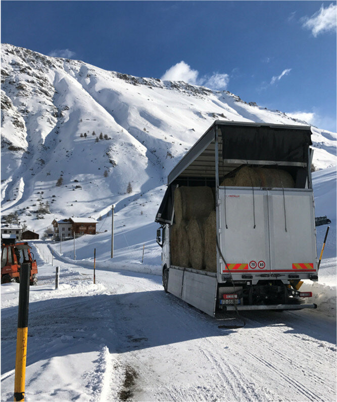 Evden eve nakliye Llt - La Livignese Trasporti, Livinio, foto