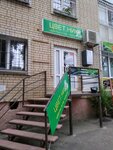 Цветник (Sokolovaya Street No:44/62к1), çiçekçiler  Saratov'dan