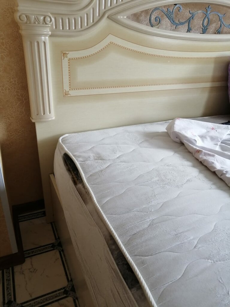 Otel Gostevoi dom Anafoliya, Krasnodarski krayı, foto