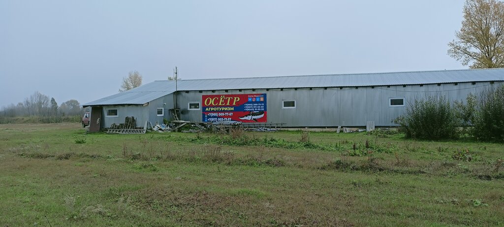 Hayvancılık Krestyanskoe khozyajjstvo individual entrepreneur Vyacheslav Okunev V., Mordovya, foto