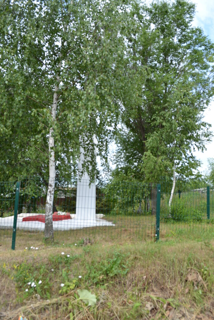 Anıt, heykel Бюст Героя Советского Союза В.И.Осипова, Tataristan, foto