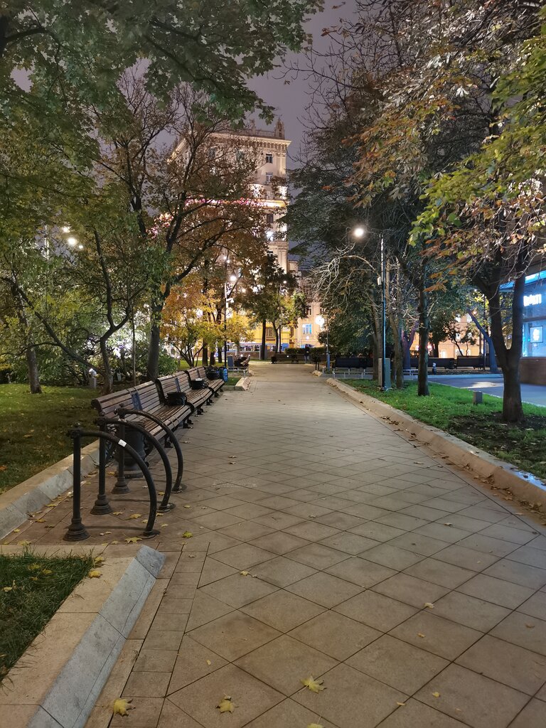 Meydan Chkalovsky Public Garden, Moskova, foto