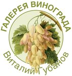 Pitomnik Galereya Vinograda (pereulok Chapayeva No:9), fidan yetiştiriciliği  Şahty'den