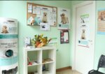 Centro Veterinario Tremestieri (Sicily, Catania, Tremestieri Etneo, Via Metastasio, 3), veteriner klinikleri  Katanya'dan
