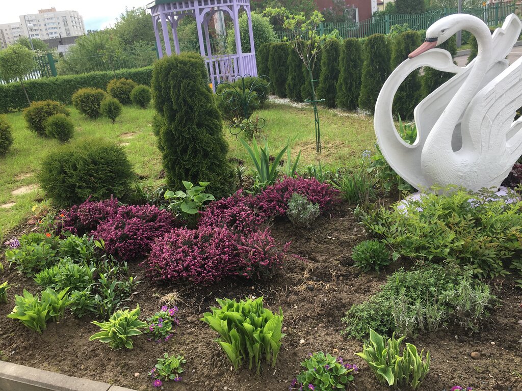 Anaokulları Yasli-Sad № 28, Minsk, foto