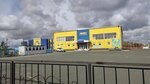 Спарта (Shkolnaya ulitsa No:6, selo Chesma), çok amaçlı spor tesisleri  Çeliabinskaya oblastından