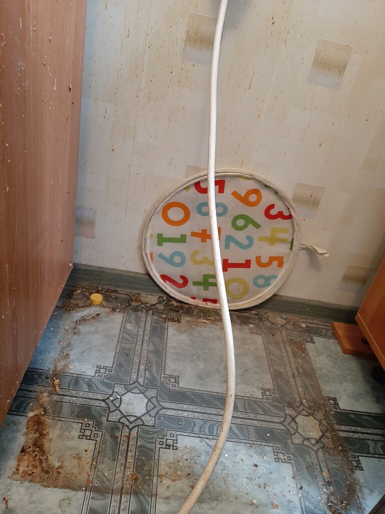 Anaokulları Detsky sad, Novosibirsk, foto