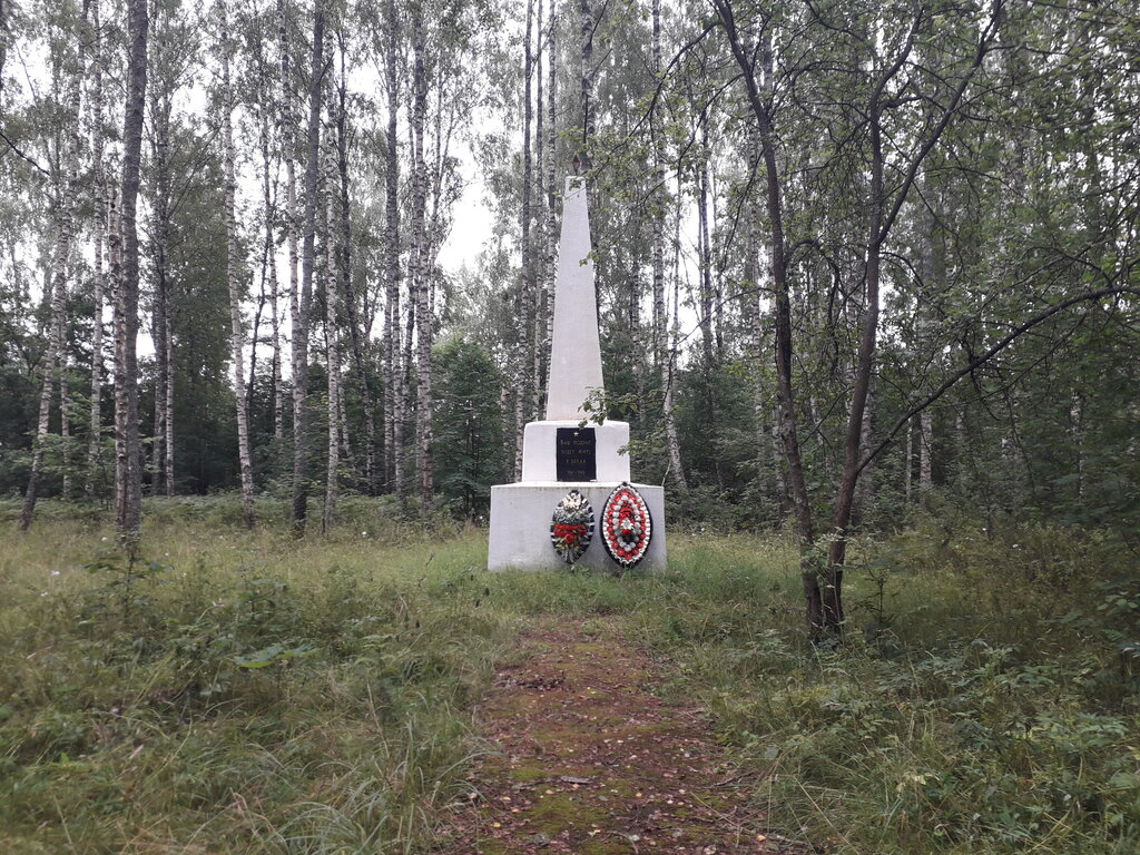 Anıt, heykel Обелиск односельчанам, павшим в годы Великой Отечественной войны, Smolenskaya oblastı, foto