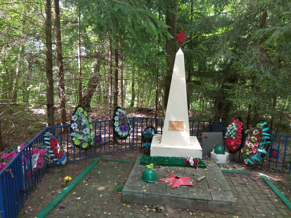 Anıt, heykel Братская могила, Kalujskaya oblastı, foto