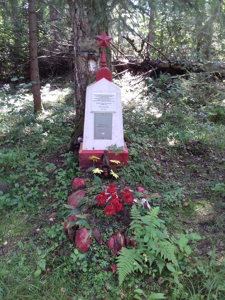 Anıt, heykel Братская могила, Kalujskaya oblastı, foto