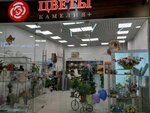 Камелия + (Karl Marx Street No:68), çiçekçiler  Kursk'tan