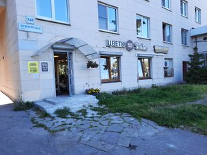 Svetloe & Temnoe (Primorskoye Highway No:348), bira dükkanı  Sestroretsk'ten