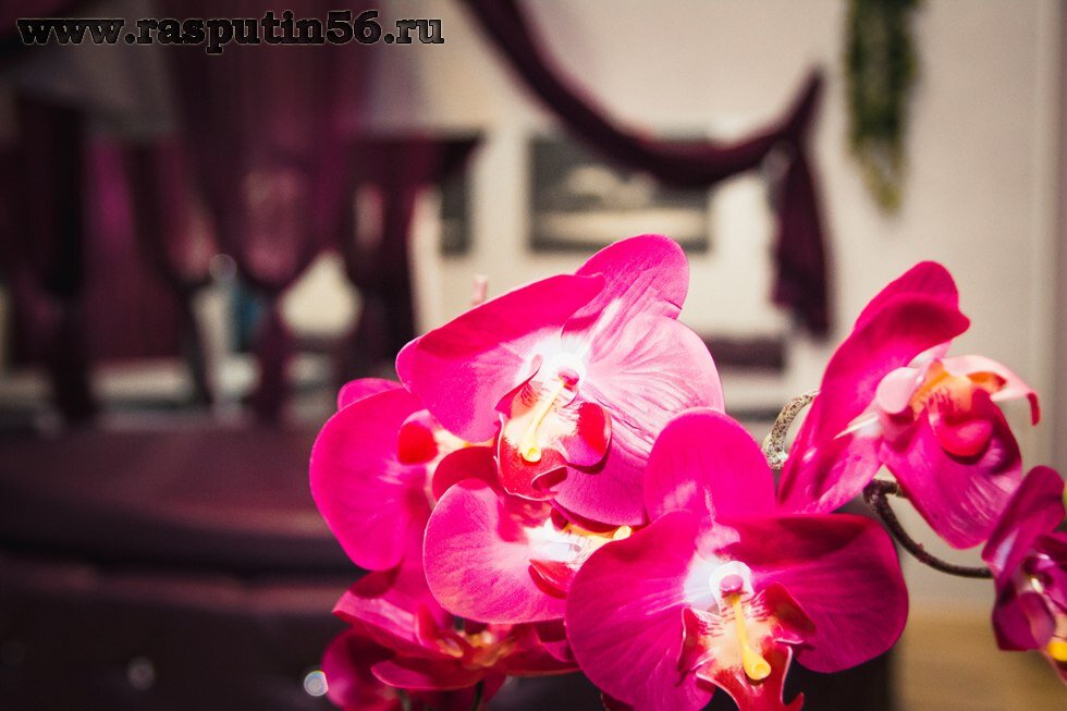 Erotik masaj salonu Men's SPA Ras’Putin, Buzuluk, foto