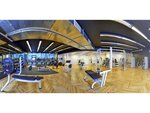 Fitness Concept - Ing Mag Hans Auer - Ergo-fit Exlusivvertrieb Österreich (Dornbacher Straße No:93, Wien), fitness kulüpleri  Viyana'dan