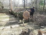 Tico's Tree Svc LLC (United States, Orange, 252 Watchung Ave), bahçe ekipmanları ve teknolojileri  New Jersey Eyaleti'nden