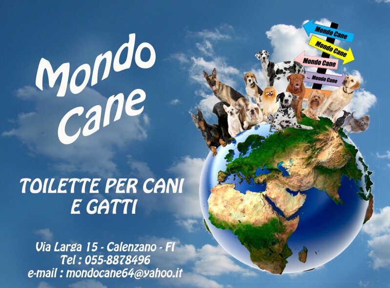 Petshop Mondo Cane, , foto