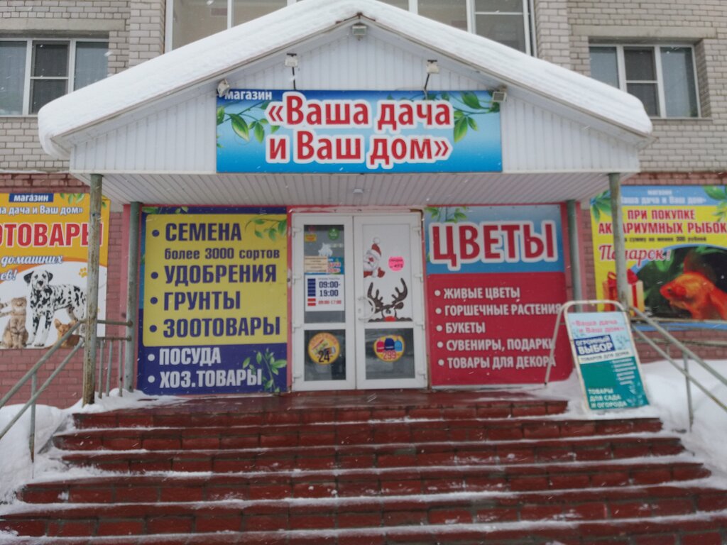 Bahçecilik mağazaları Vasha Dacha i Vash Dom, Kotlas, foto