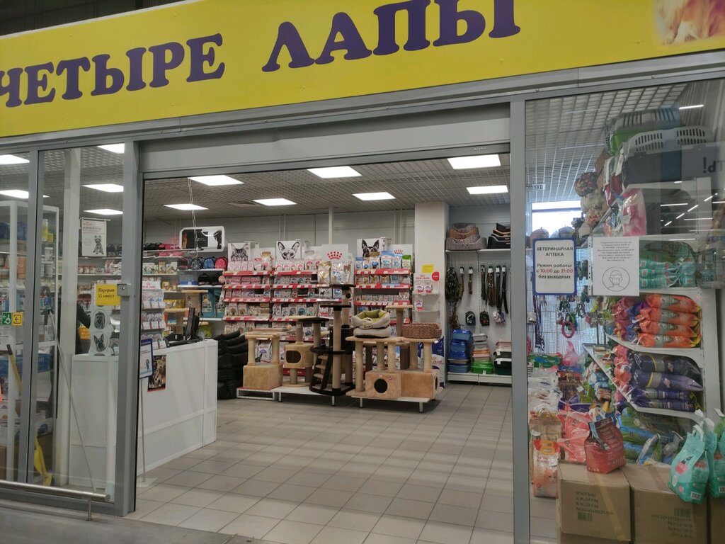Petshop Четыре лапы, Krasnoyarsk, foto