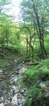 Ольгинский источник (Autonomous Republic of Abkhazia, Gagrskiy munitsipalitet), pınar, çay  Gagra Bölgesi'nden