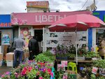 Цветы (Bogdana Khmelnitskogo Avenue No:132), çiçekçiler  Belgorod'dan