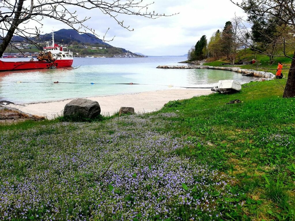 Sivil toplum kuruluşları Sunnmøre friluftsråd, Dünya, foto