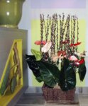 Il Carosello dei Fiori (Sardinia, Cagliari, Via Antonietti, 8), çiçek teslimatı  Sardunya'dan
