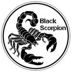 Black Scorpion (Rysqulov dańǵyly No:65), oto kaporta  Almatı'dan