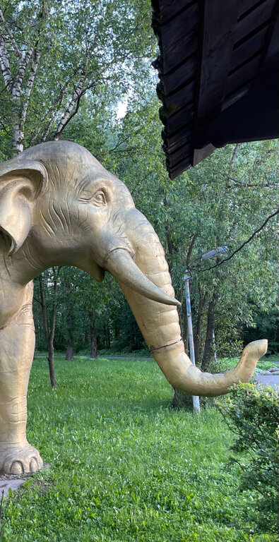 Park, sokak heykeli Золотой слон, Moskova ve Moskovskaya oblastı, foto