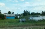 Glavny Spetsialist po Ozdorovleniyu i San. -Kur. Lecheniyu Naseleniya Krasnopolskogo rayona (Savieckaja vulica No:17, garadski pasiolak Krasnapollie), termal otel  Mogiliovskaya oblastından